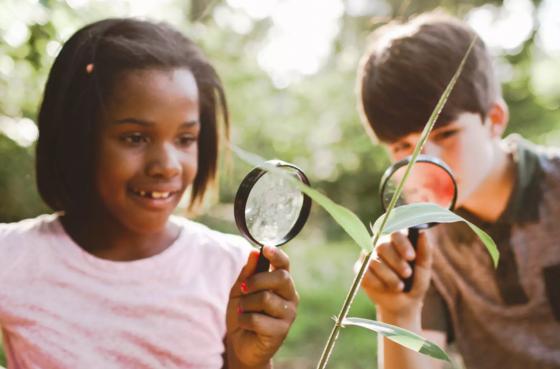 Greener Schools = Smarter Students | Green Building Discussions - Rate ...